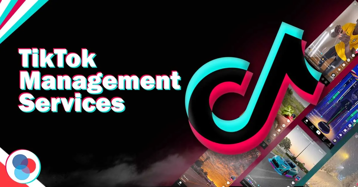 TikTok Management Services - Followers, Likes & Views