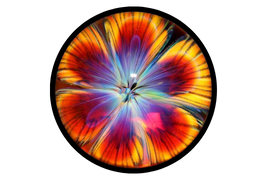 Must-Have Instagram Highlight Covers for 2025